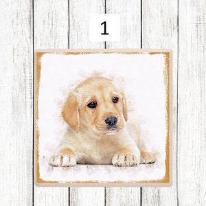 Labrador Retriever Coaster, Lab Coasters, Yellow Labrador Drink ...