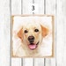 Labrador Retriever Coaster Lab Coasters Yellow Labrador - Etsy