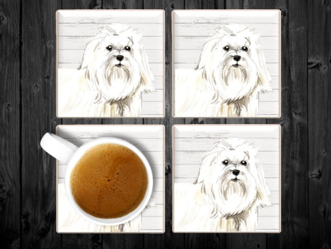 Maltese Coasters Maltese Coaster Set Maltese Coaster Gift - Etsy