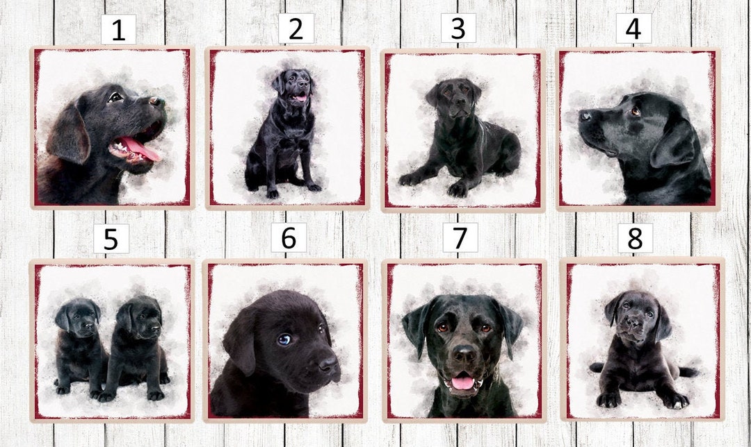 Labrador Retriever Coaster, Lab Coasters, Black Labrador Drink Coasters ...