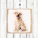 Labrador Retriever Coaster Lab Coasters Yellow Labrador - Etsy