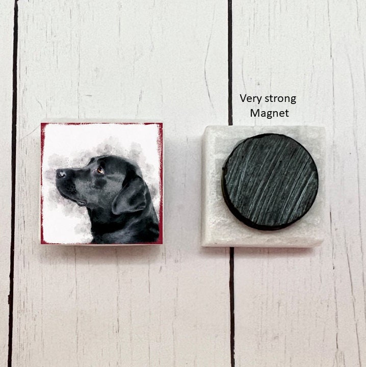 6 Labrador Retriever Magnets Marble Labrador Retriever - Etsy