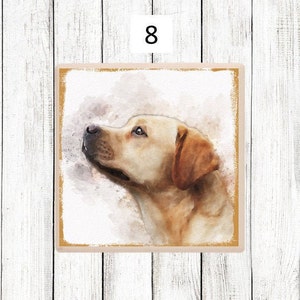 Labrador Retriever Coaster, Lab Coasters, Yellow Labrador Drink ...