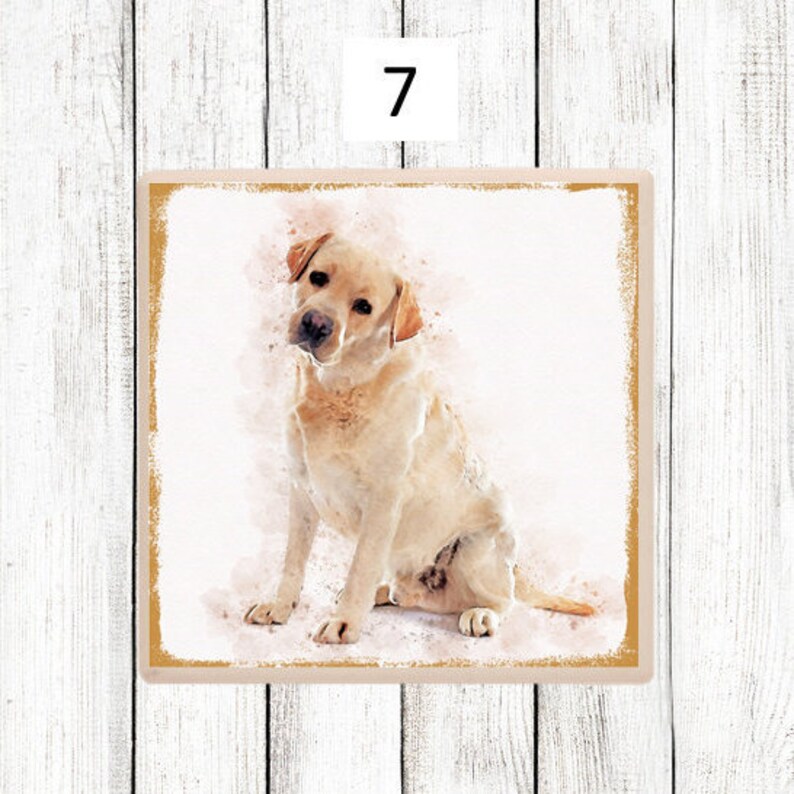 Labrador Retriever Coaster Lab Coasters Yellow Labrador - Etsy