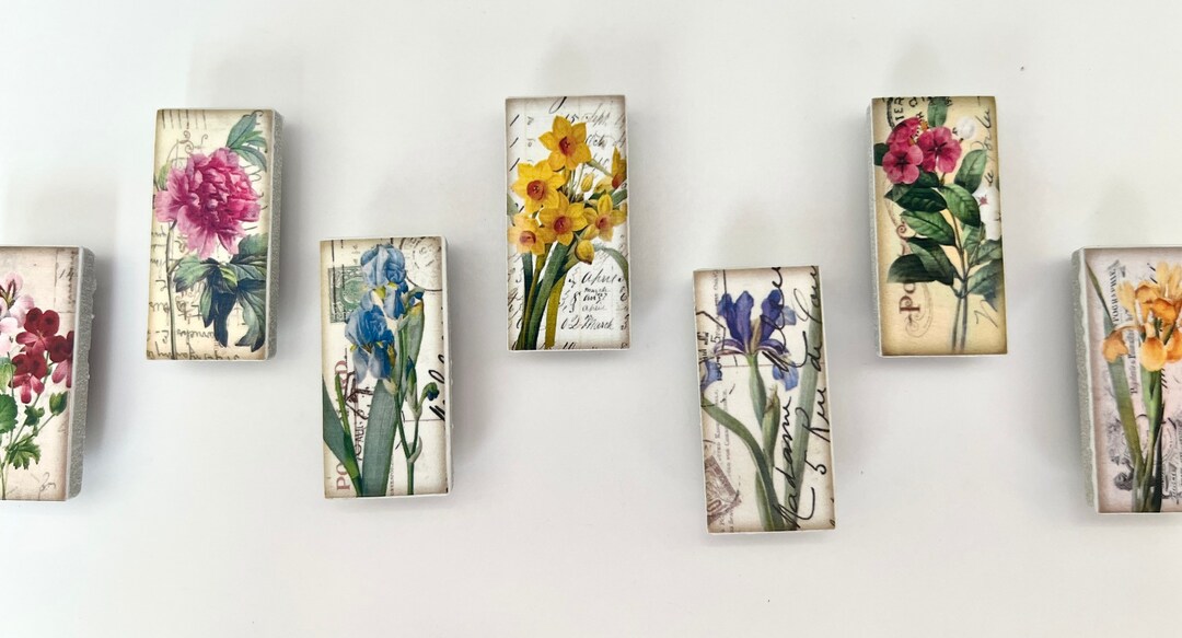 6 -12 Floral Magnet Set, Botanical Floral Magnet Set, 6-12 Floral ...