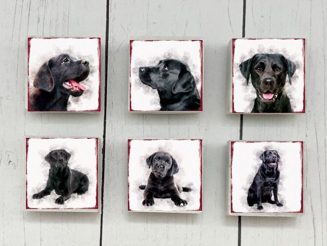 6 Labrador Retriever Magnets Marble Labrador Retriever - Etsy