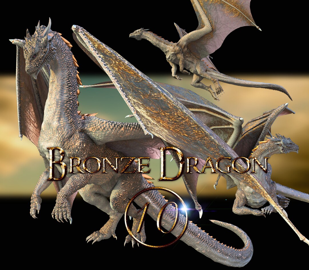 10 Bronze Dragons, Dragons Overlay, Dragons Clipart - Etsy