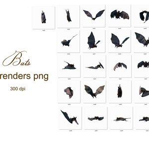 20 Bat Clipart, Bat Overlay Png - Etsy
