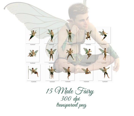 Female And Male Fairies And Pixies