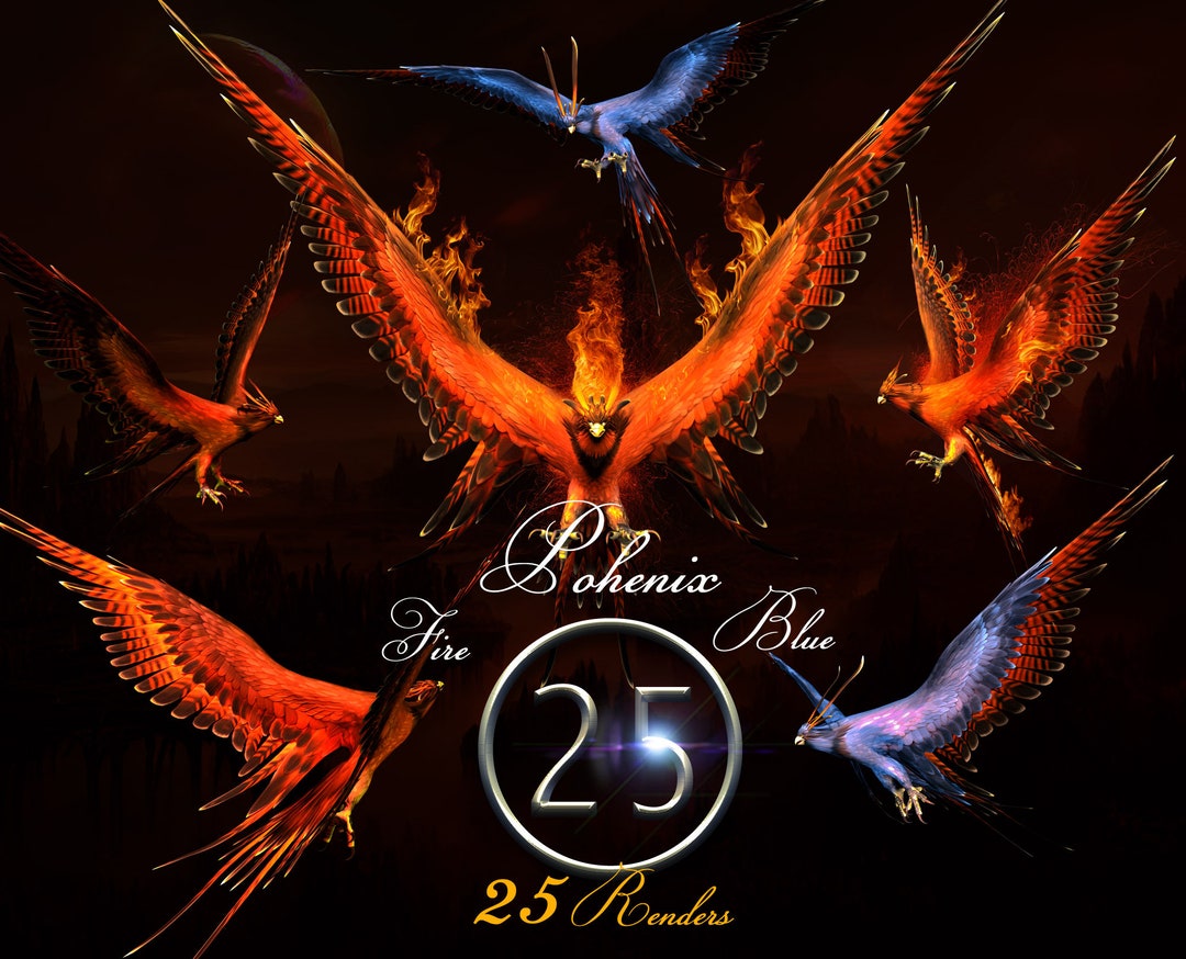 25 Phoenix Renders, Phoenix Clipart Transparent Overlays - Etsy