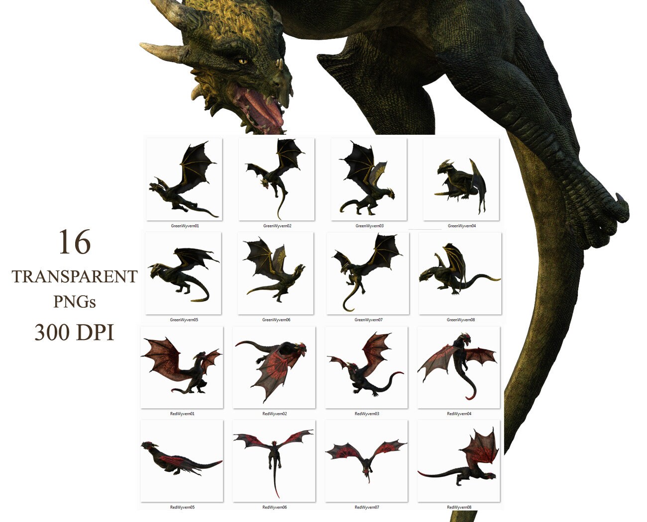Wyverns Overlays 16 Wyverns Dragons Pngs - Etsy