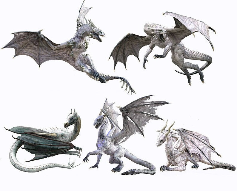 5 Snow Dragons PNGs | Etsy