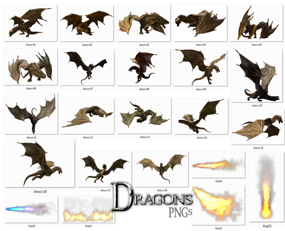 23 PNGs Dragons clipartDragons overlay | Etsy
