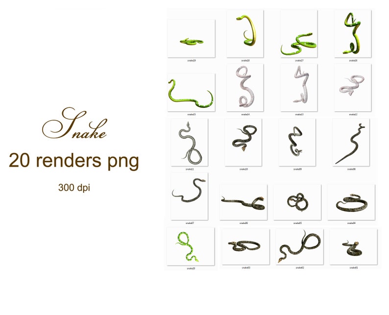 Snake Clipart Snake Overlay Whie Green Boa - Etsy