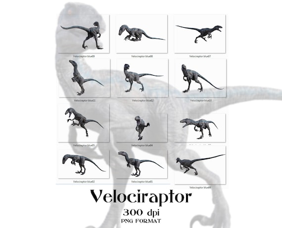 Velociraptor Size Chart