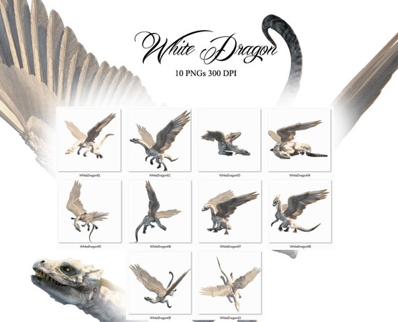 White Dragon Flying