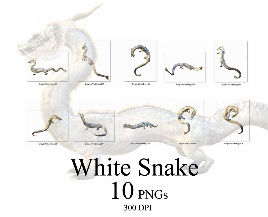White Snake White Dragon Dragon Clipart - Etsy
