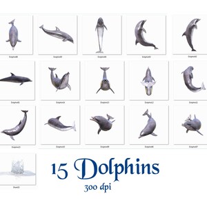 15 Dolphins Overlay, Dolphins Clipart, - Etsy