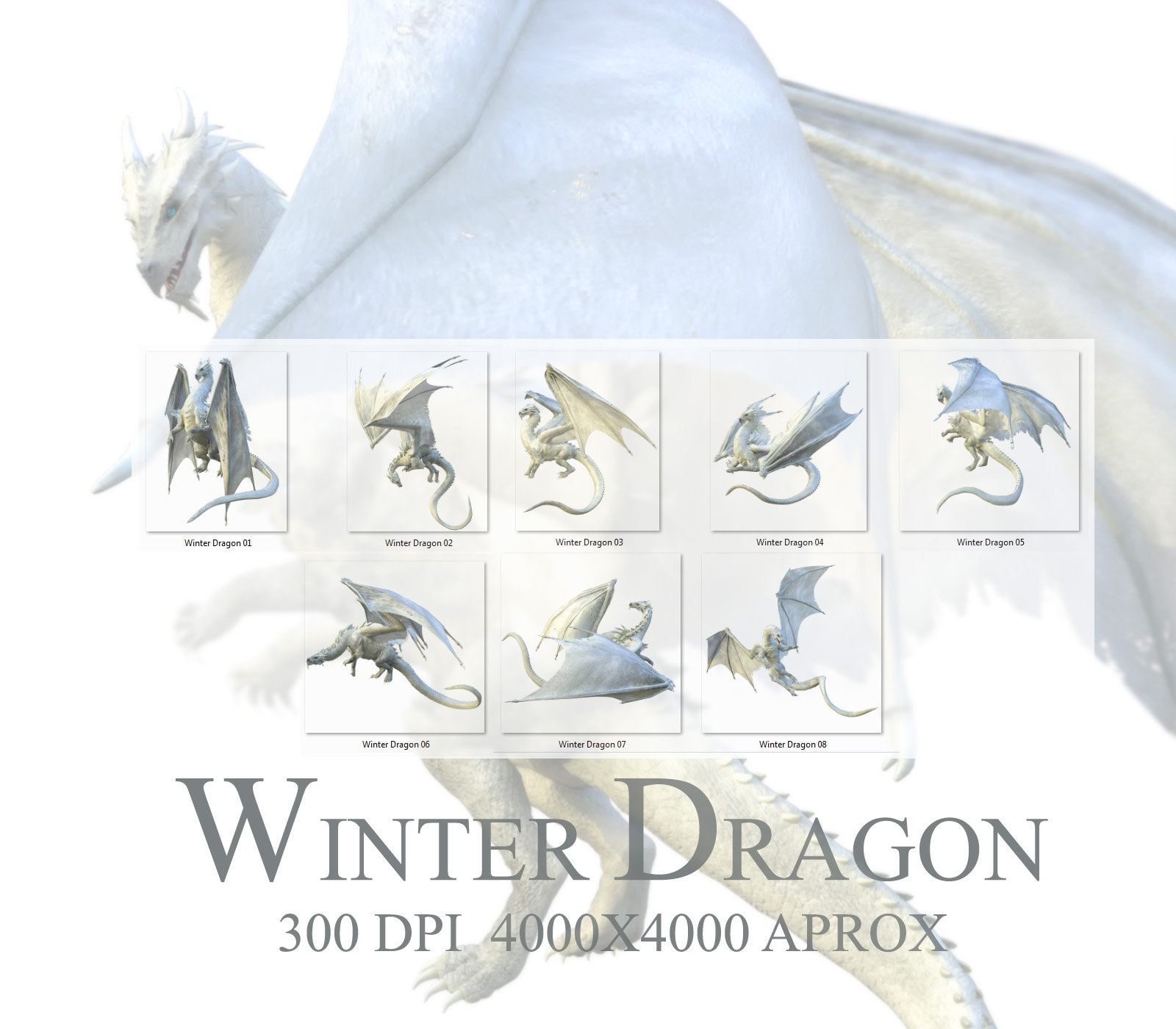 8 Winter Dragon. White Dragon Overlays Snow Dragons Clipart - Etsy