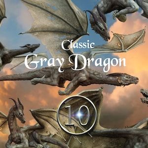 10 Classic Gray Dragon, Dragon Clipart, Dragon Overlay - Etsy