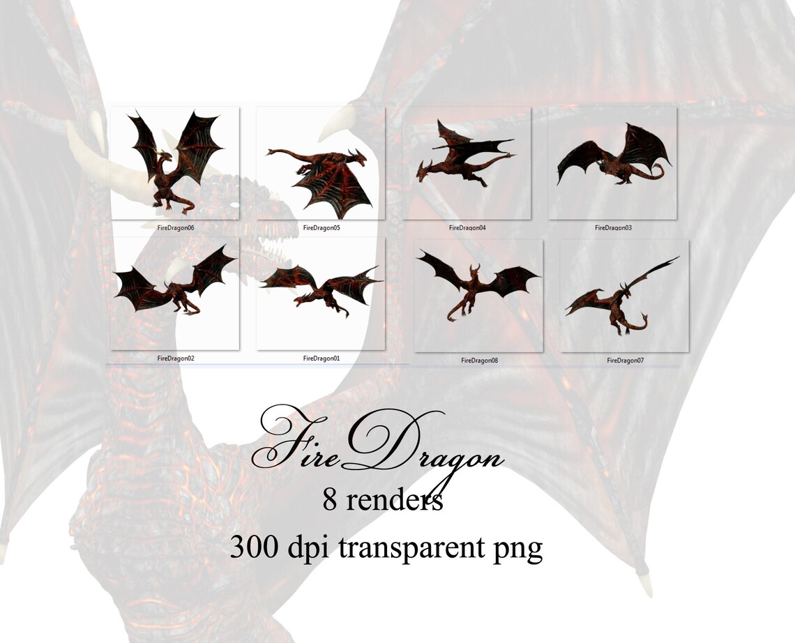 8 Fire Dragon Clipart Dragon Overlay - Etsy
