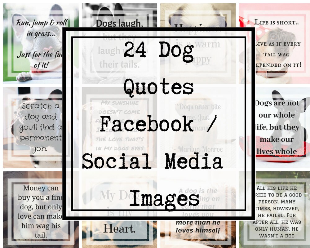 Pet Dog Quotes - Social Media Images Instant Download - Facebook ...