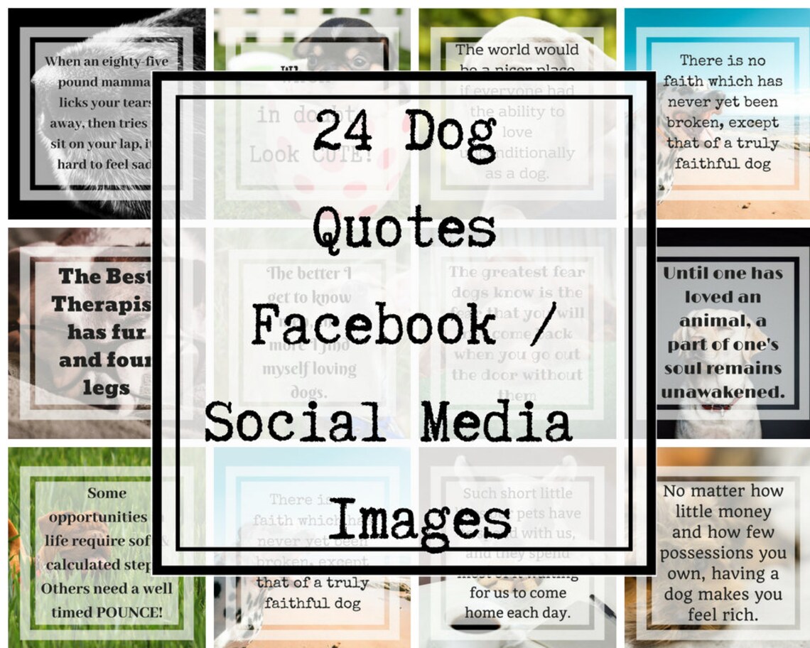 Pet Dog Quotes - Social Media Images Instant Download - Facebook ...