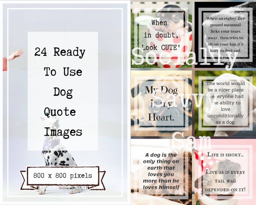 Pet Dog Quotes - Social Media Images Instant Download - Facebook ...