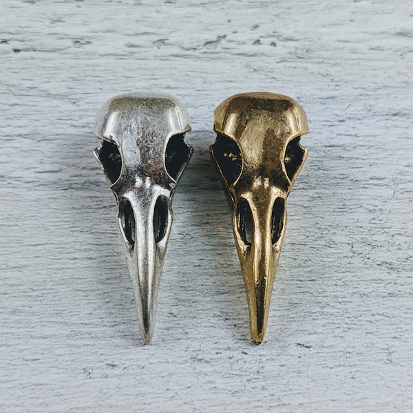 Raven Skull - Etsy