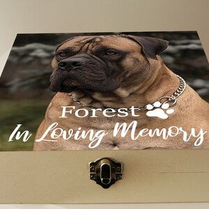 Dog Memory Box Keepsake Box Pet Memorial Gift Dog Memorial | Etsy