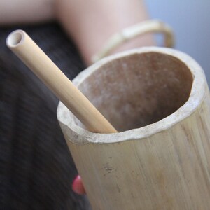 100 X BAMBEW Bamboo Straws. Handmade by Artisans in Vietnam From 100% ...