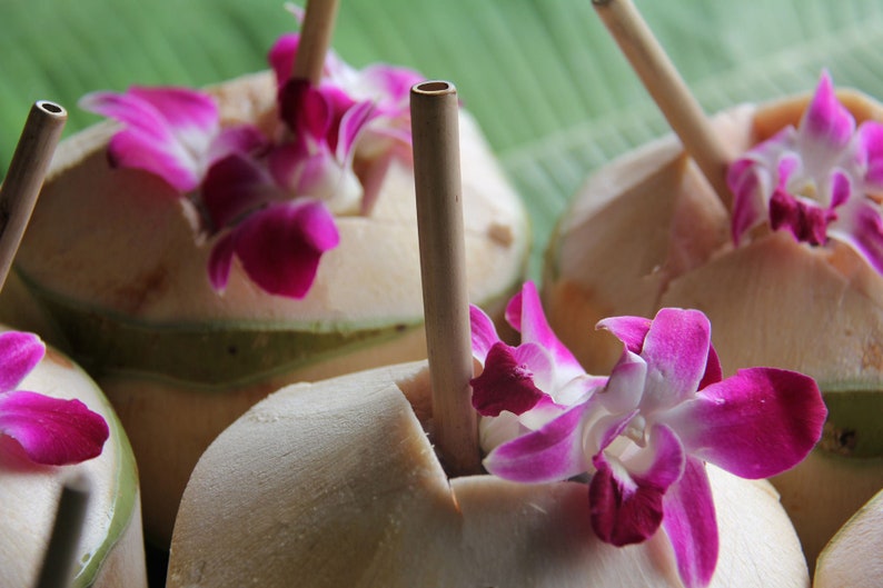 100 X BAMBEW Bamboo Straws. Handmade by Artisans in Vietnam From 100% ...