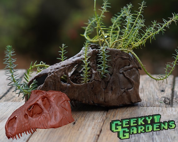 T-rex Dinosaur Planter Print File STL | Etsy