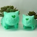 Pokemon Valentines Special Pink Bulbasaur Planter - Etsy
