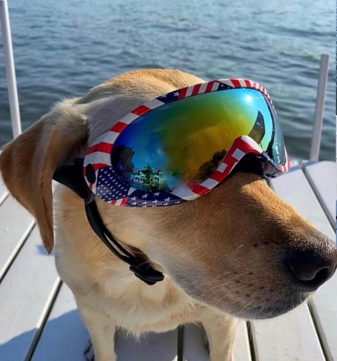 4th of July Dog Goggles/sunglasses UV Proof HD Polarized American Flag ...