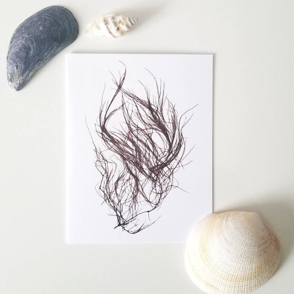 Pressed Seaweed Card - Etsy