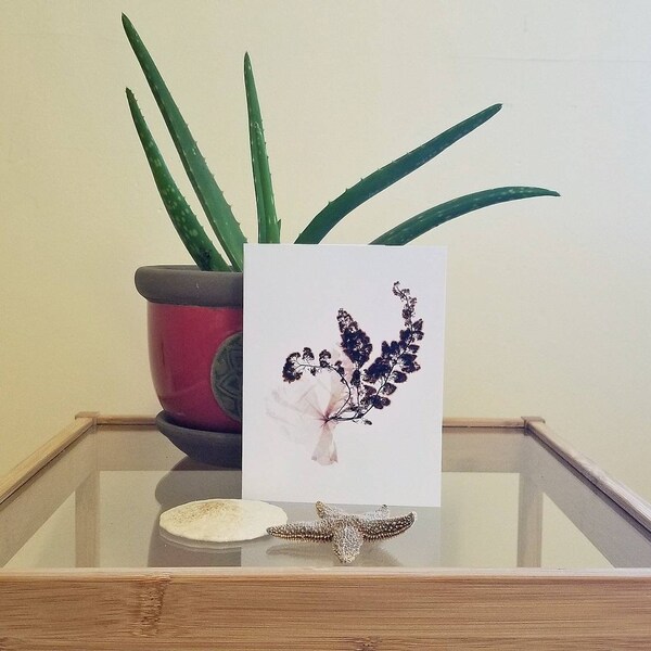 Pressed Seaweed Card - Etsy