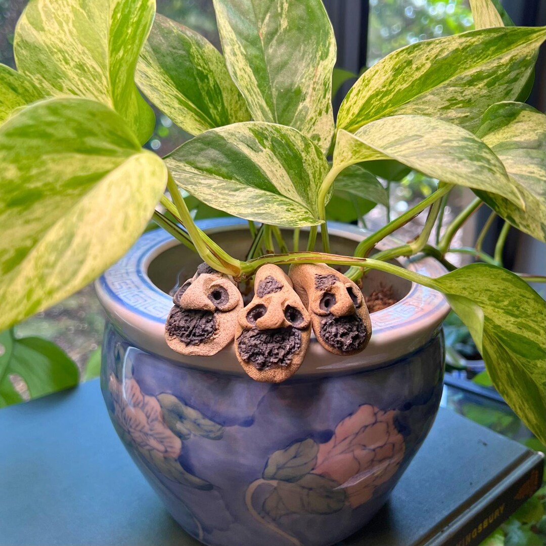 Pack of 2 Handmade Clay Planter Decorations - Plant Buddy - Plant Decor ...