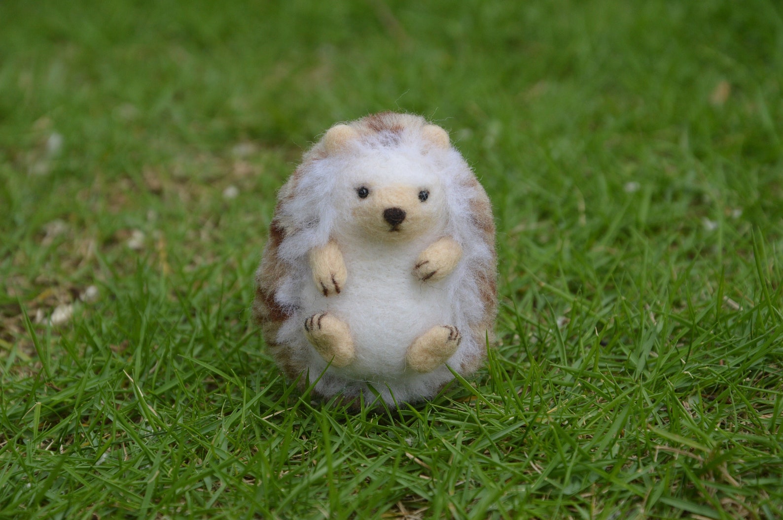 Hedgehog Needle Felting Kit for Beginners - DIY Craft Kit for Christmas ...