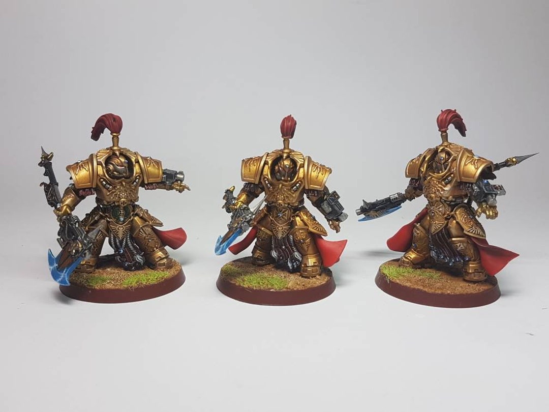 Allarus Custodian Terminators X 3 Custom Painted Miniatures, All ...