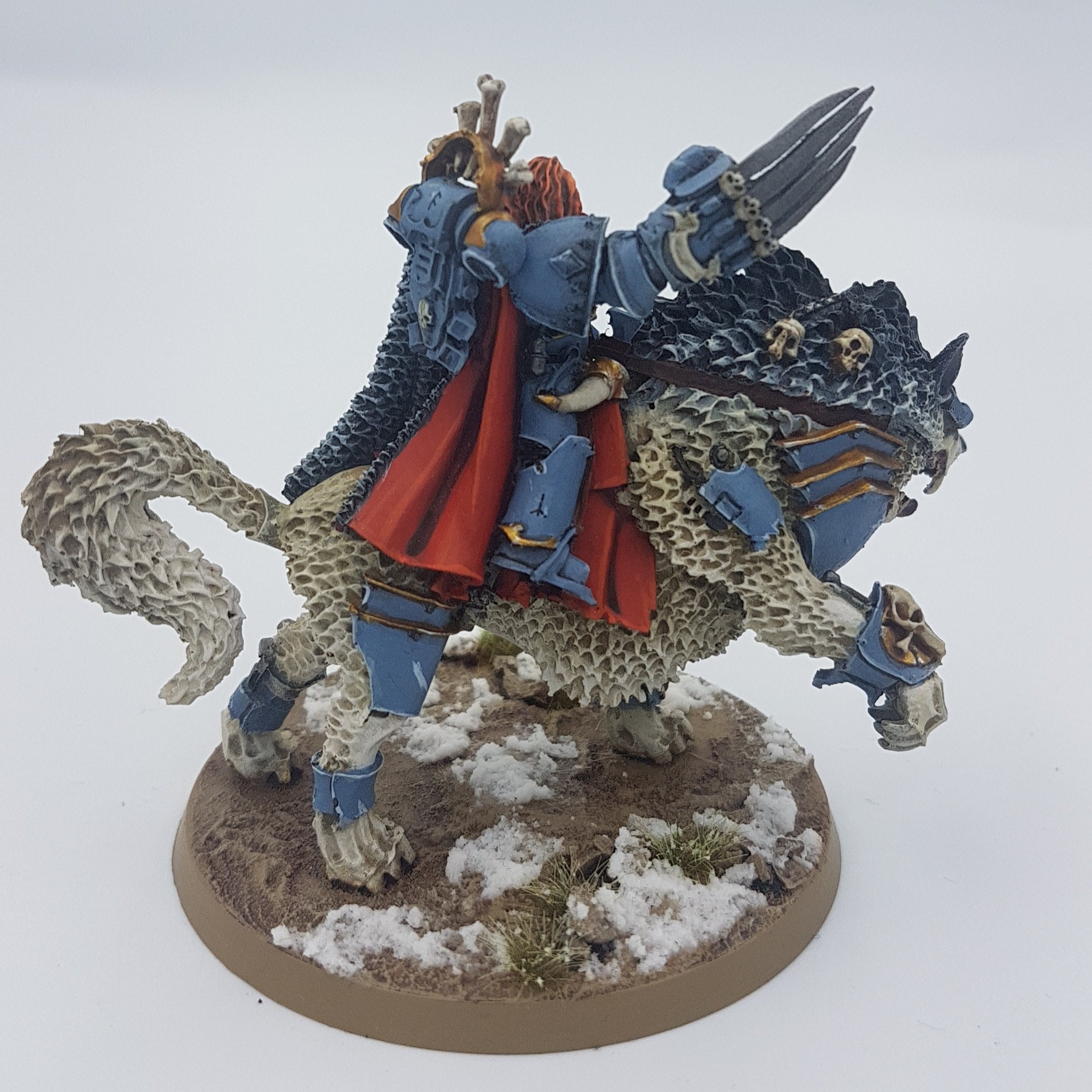 Canis Wolfborn Space Marine Space Wolves Painted Miniature Models ...