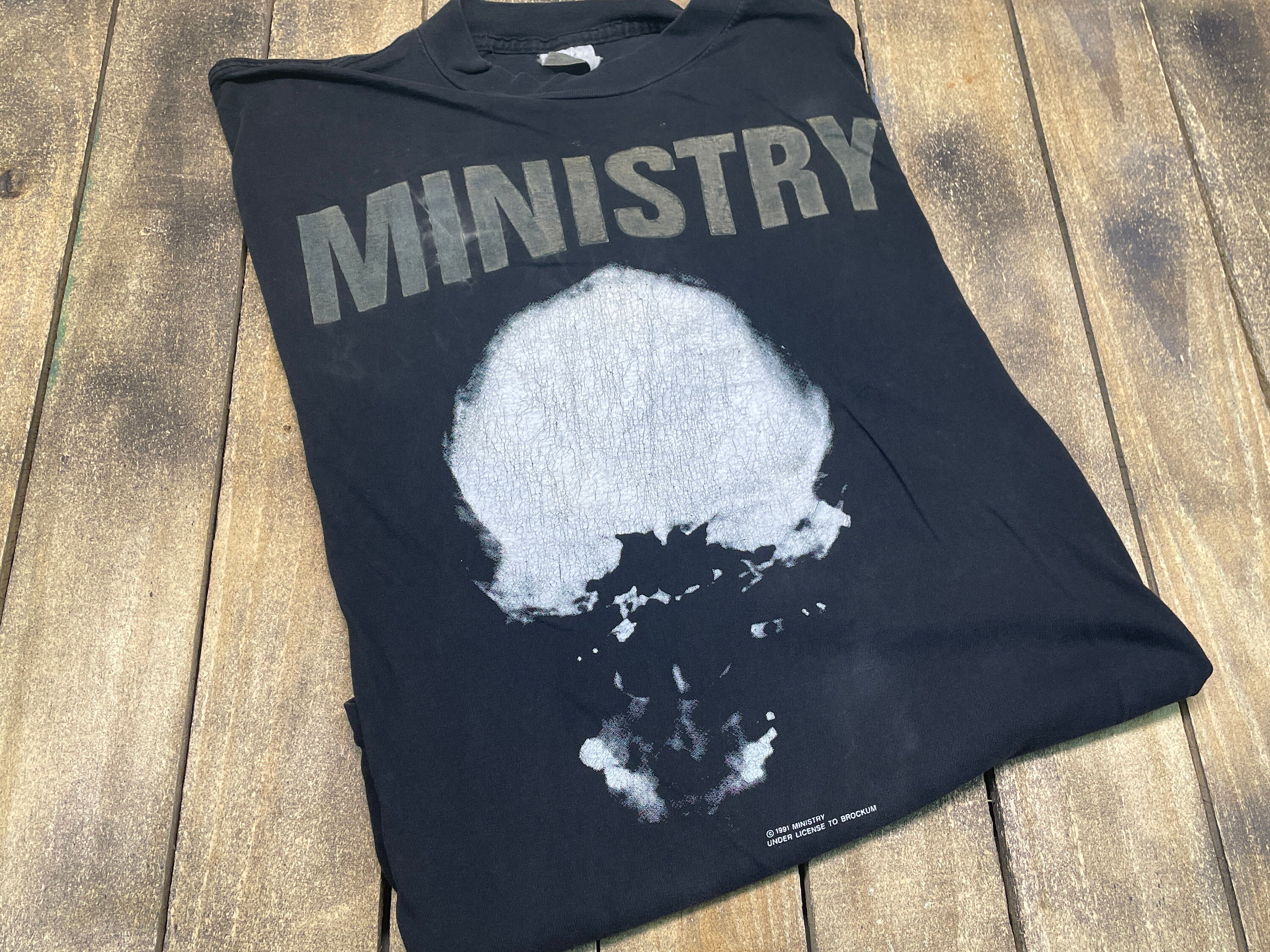 Ministry The Mind Is A Terrible Thing To Taste