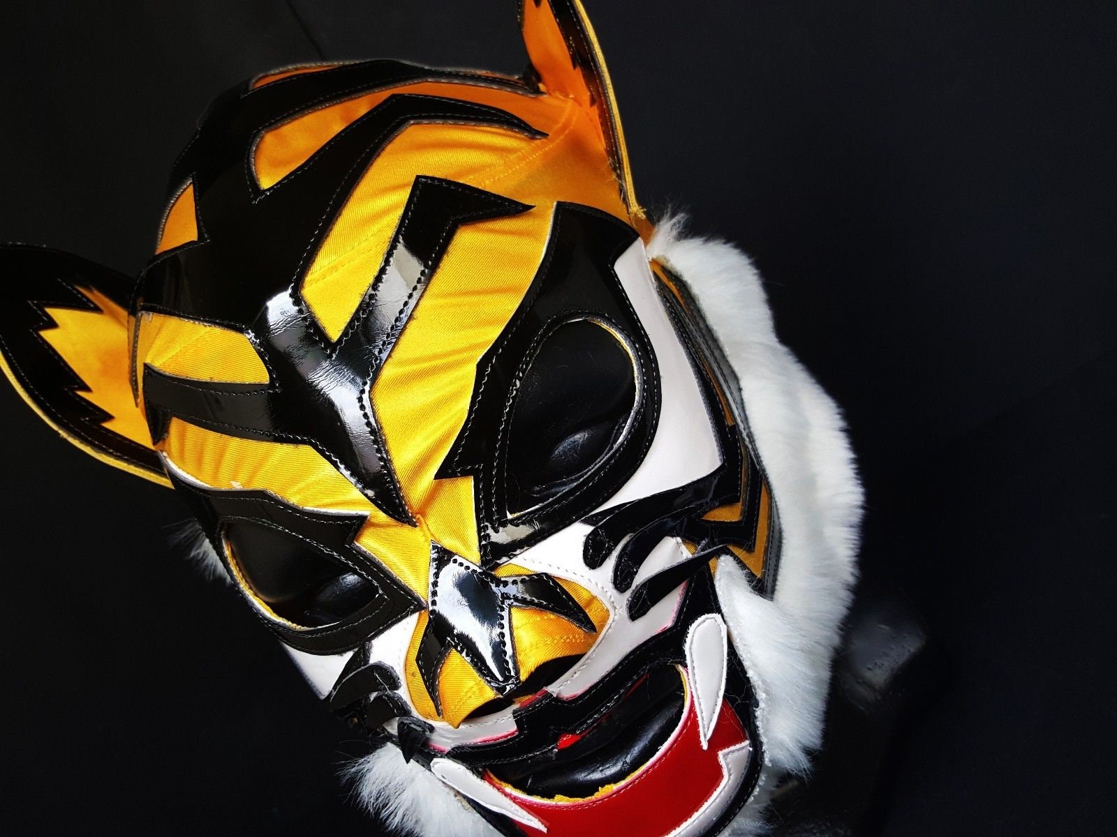 Tiger Mask Wrestler