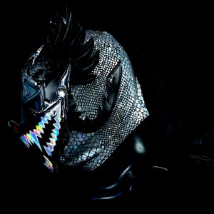 DRAGON MASK Wrestling Mask Luchador Costume Wrestler Lucha Libre ...