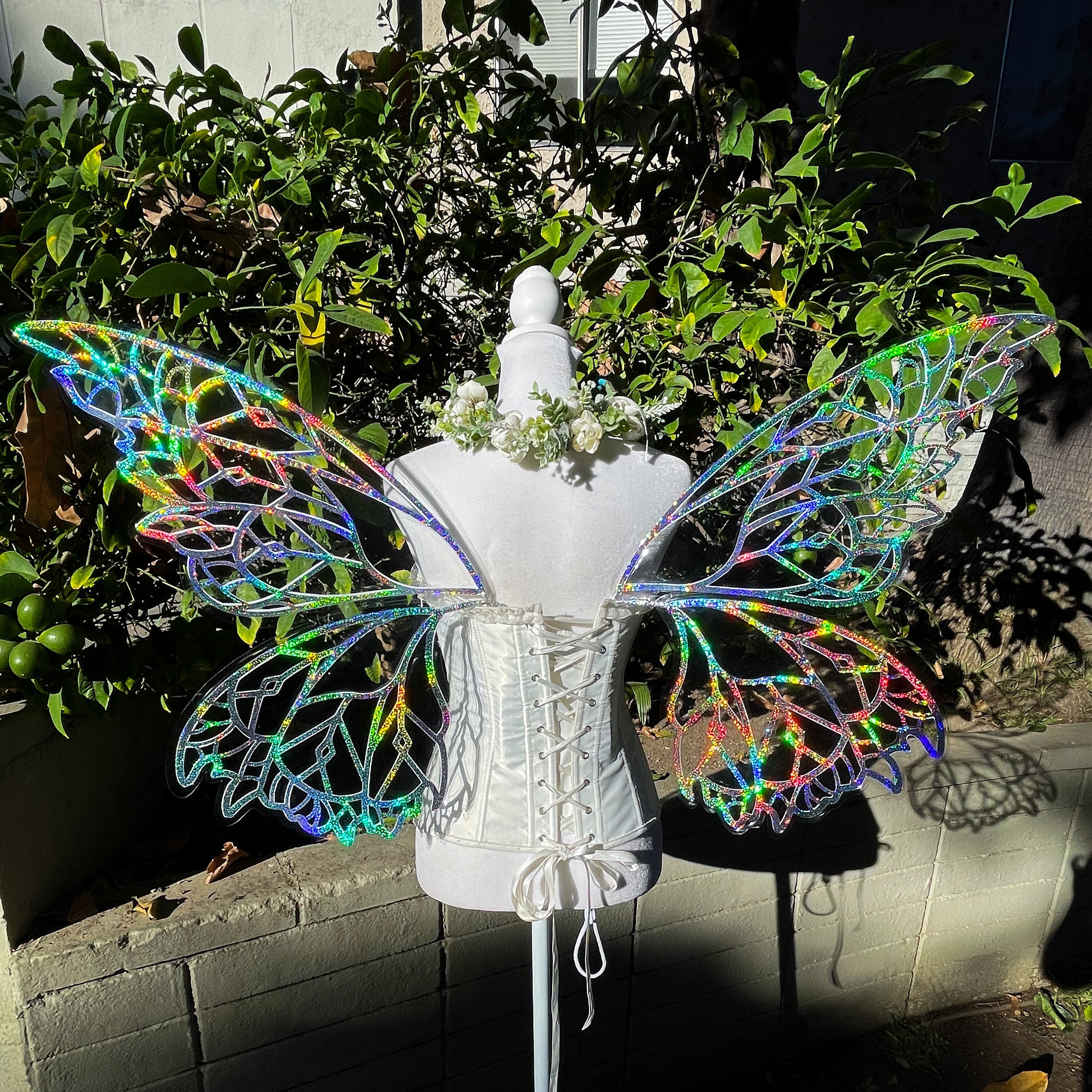 Snow Fairy Wings