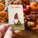 Gnome Enamel Pin Gnome With Pumpkin Garden Gnome Pin Gnomes - Etsy
