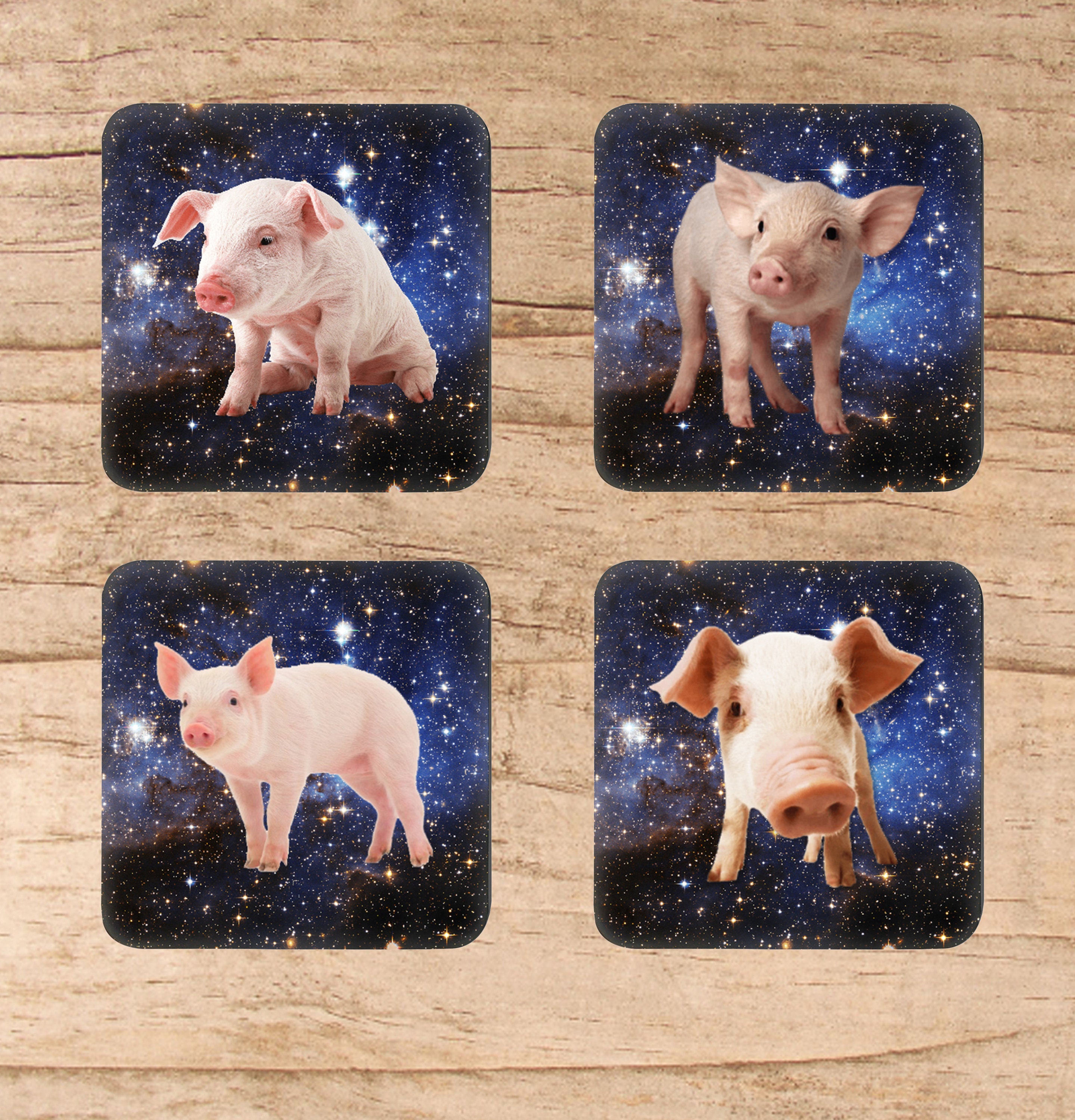 Pigs in Space Pig Coasters Outer Space Housewarming Pig | Etsy