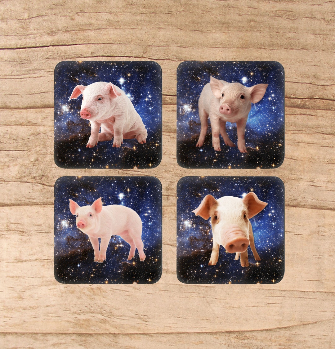 Pigs in Space, Pig Coasters, Outer Space, Housewarming, Pig Decor ...