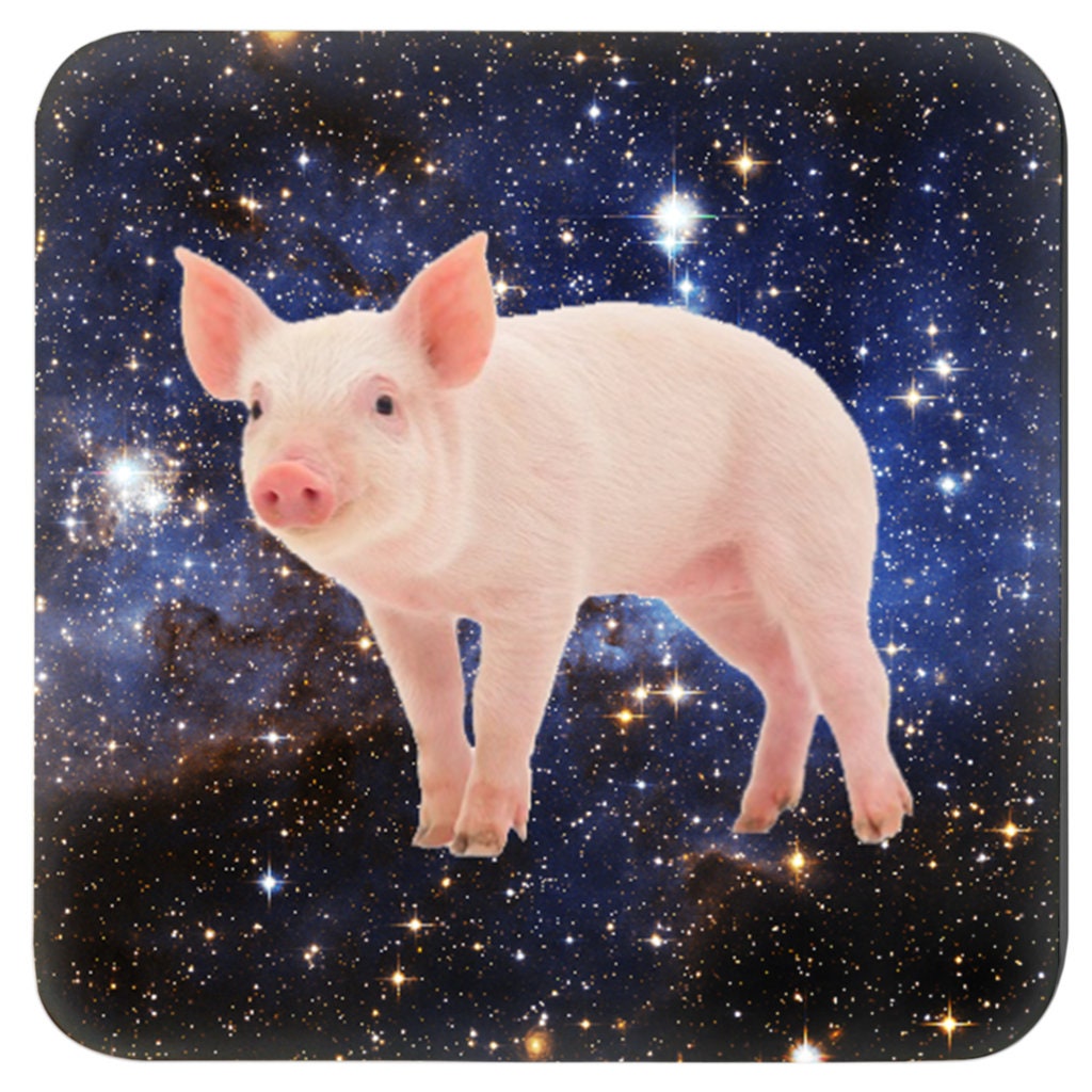 Pigs in Space Pig Coasters Outer Space Housewarming Pig - Etsy