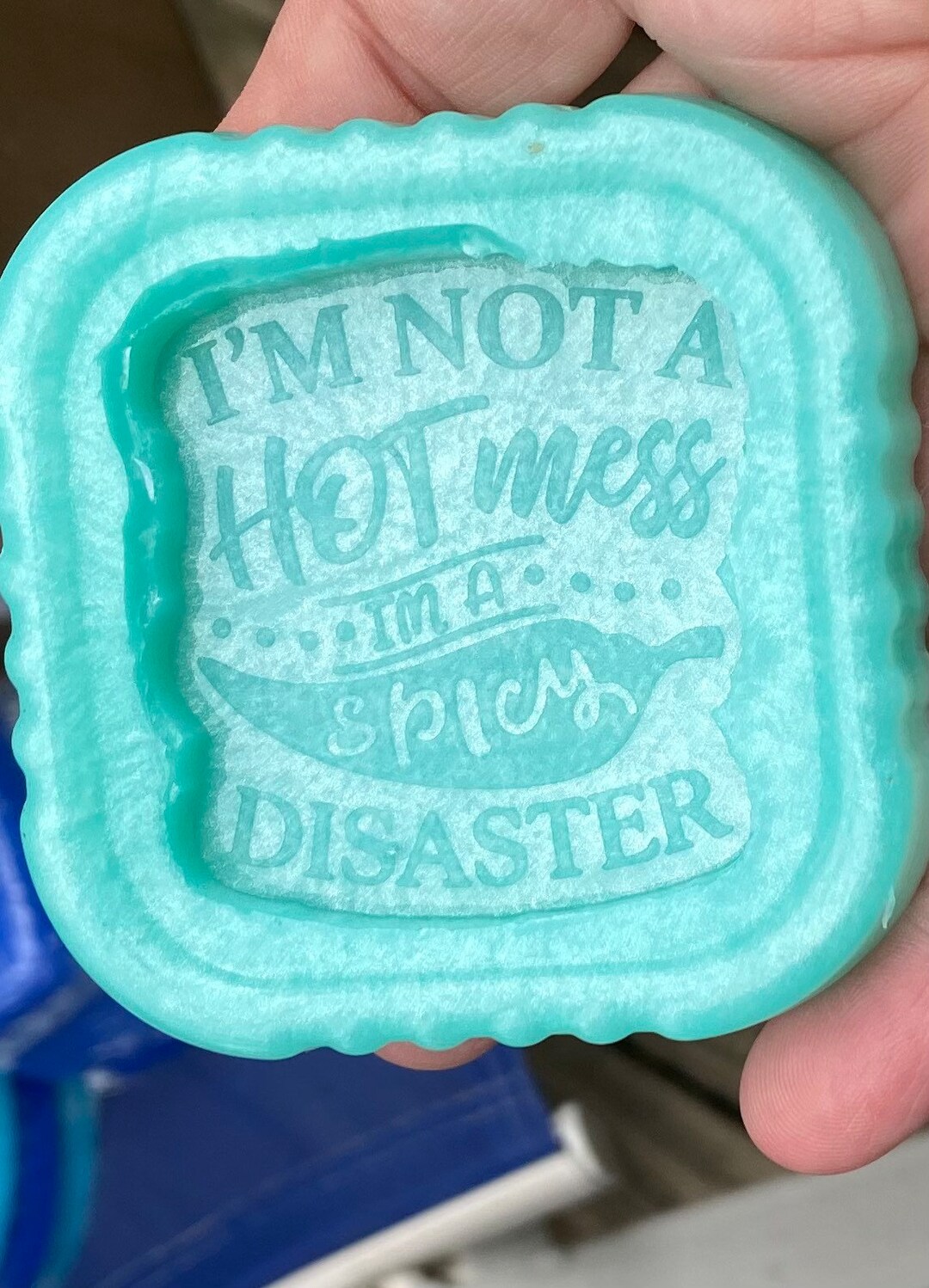 2 1/2 Inch I Am Not a Hot Mess I Am a Spicy Disaster Mold - Etsy